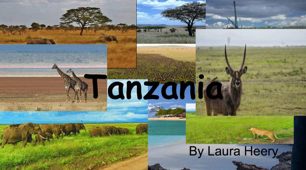 Laura Heery - Their Lives Matter | We Are TLM